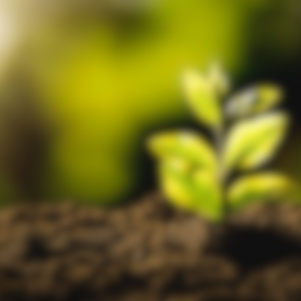 horizont3000 | About