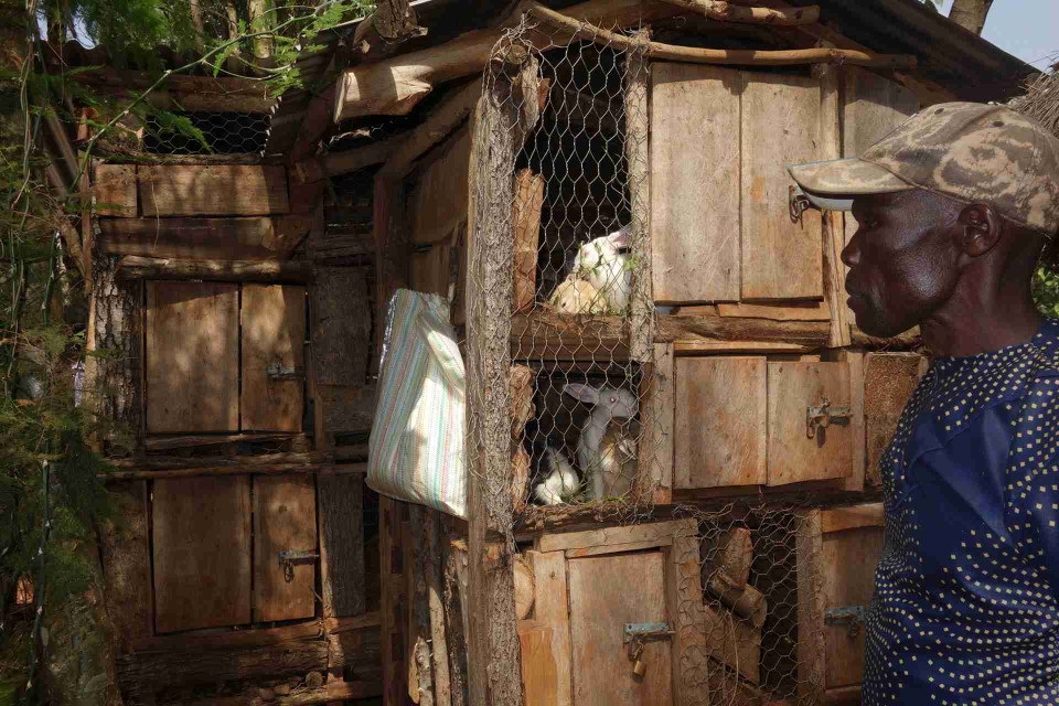 horizont3000 - NGO for Development Cooperation | Integrated Fish and ...