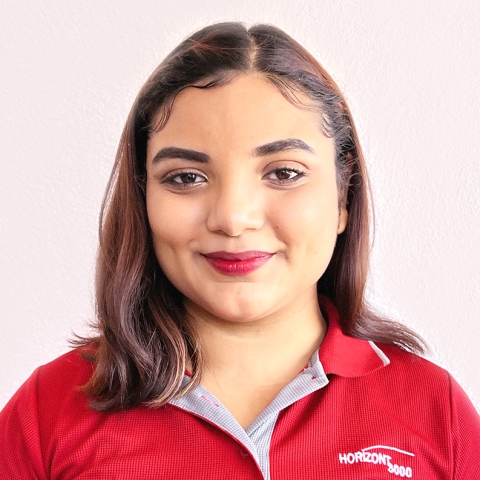 horizont3000 | About