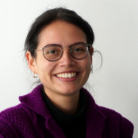 horizont3000 | About